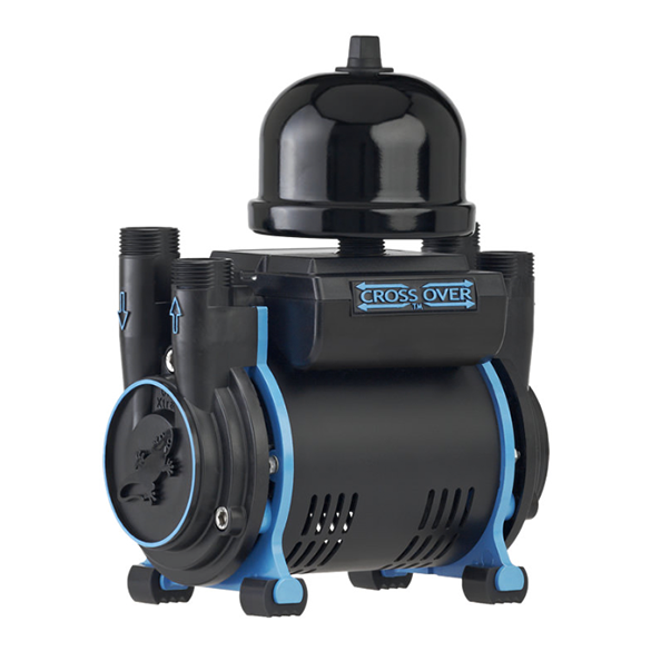 Salamander Pumps - Everything you Need to Know